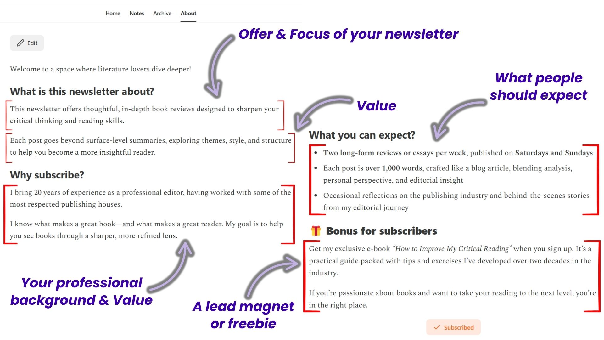 How to Start a Newsletter on Substack - Newsletter Circle